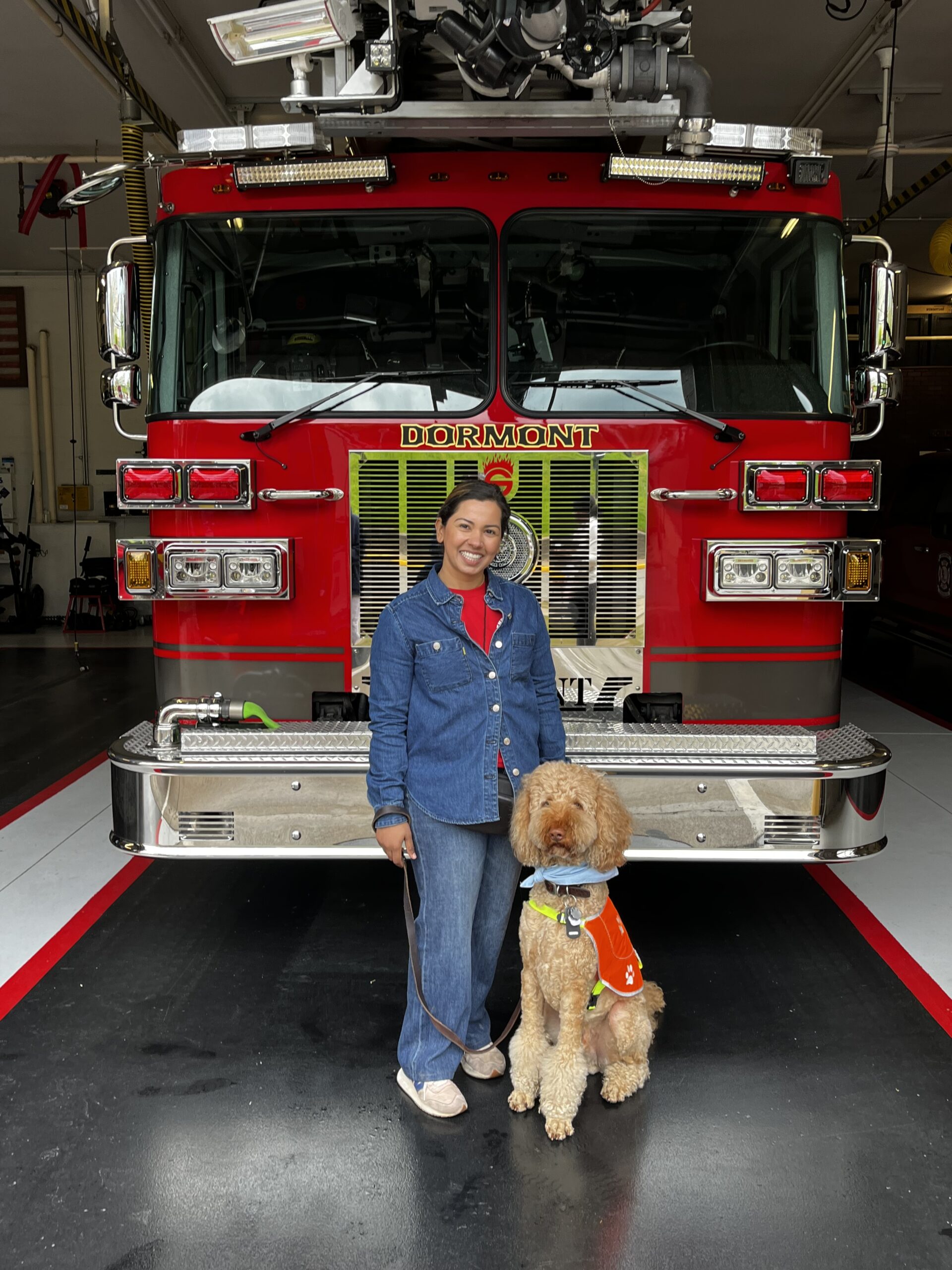 Capo, the Certified Therapy Dog - Zandier Counseling